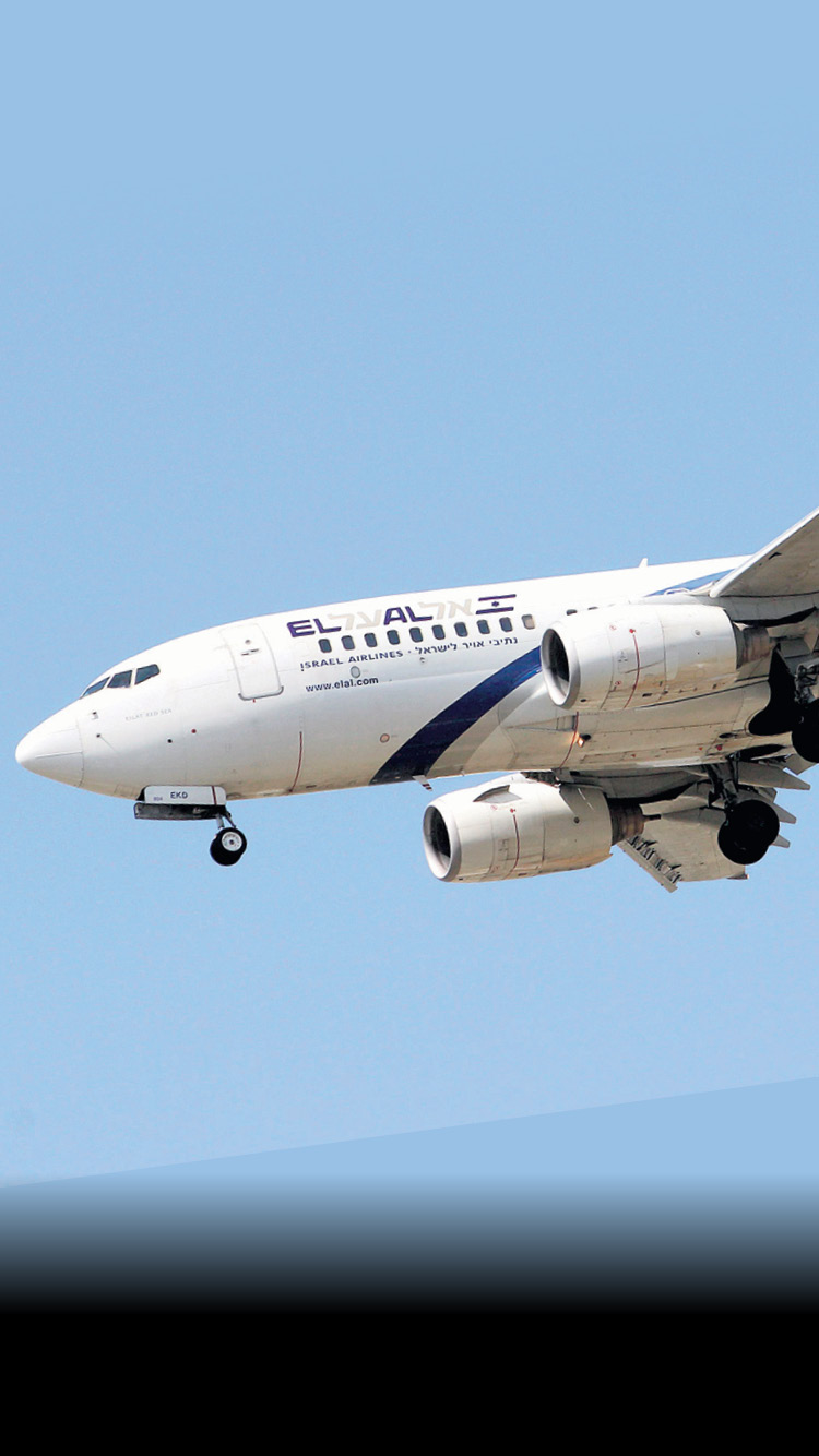 Суд отдал пилотам "Эль-Аль" распоряжение вернуться к работе