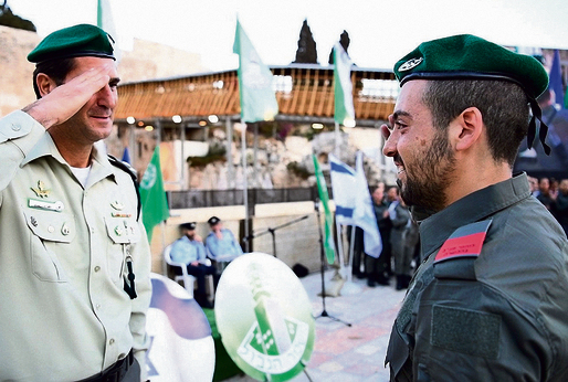 גאוות היחידה