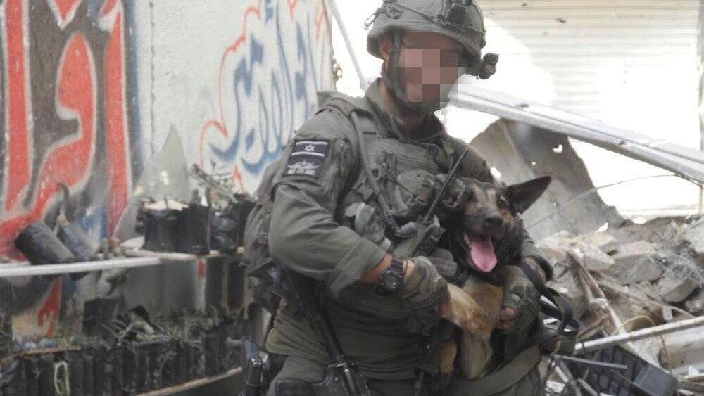 Hamas using dogs to disrupt IDF canine unit